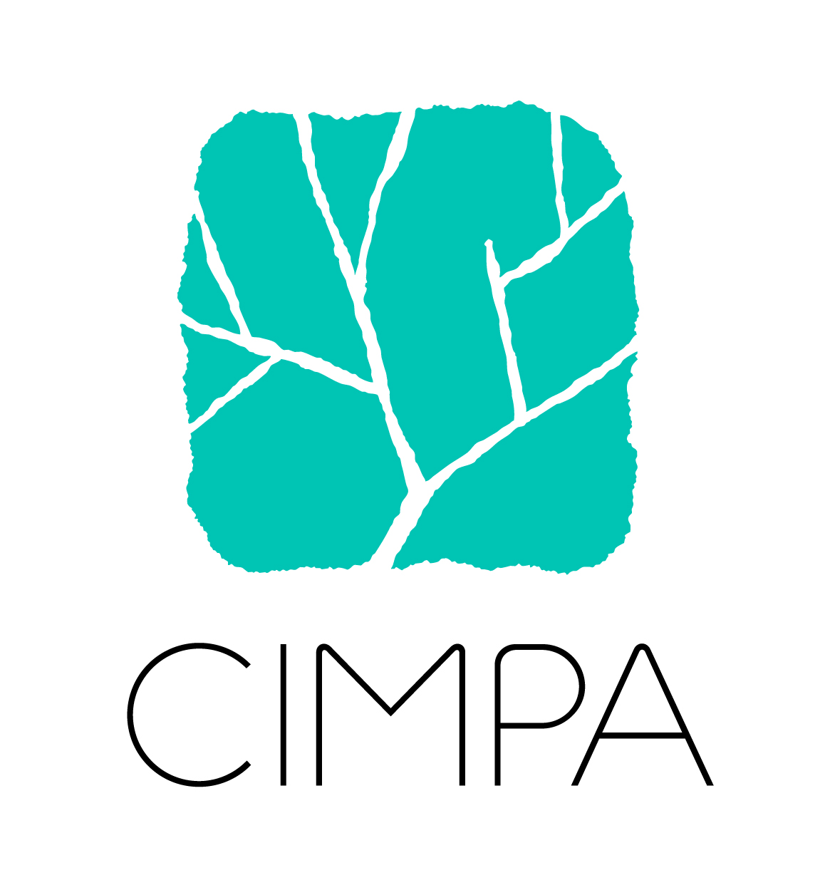 CIMPA SCHOOL ON OPTIMAL CONTROL AND APPLICATIONS IN ENGINEERING | Arba ...